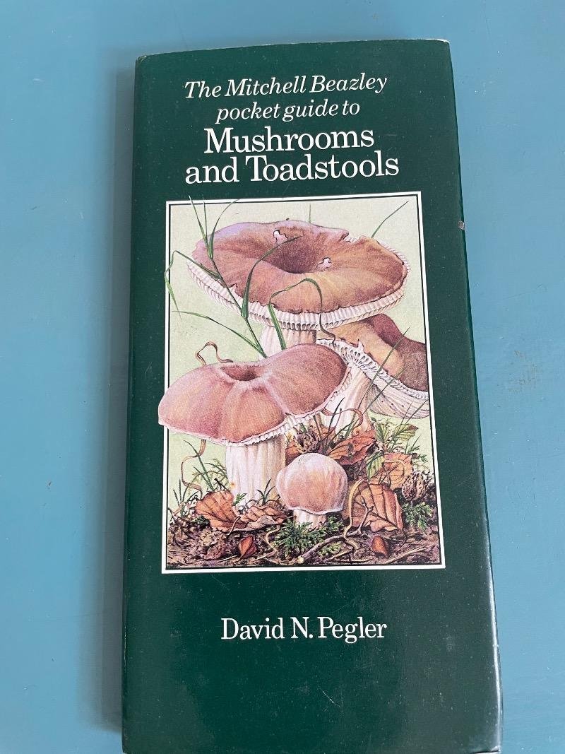 Free: Mushroom/fungi identification guide (Florence Park OX4) - Oxford ...