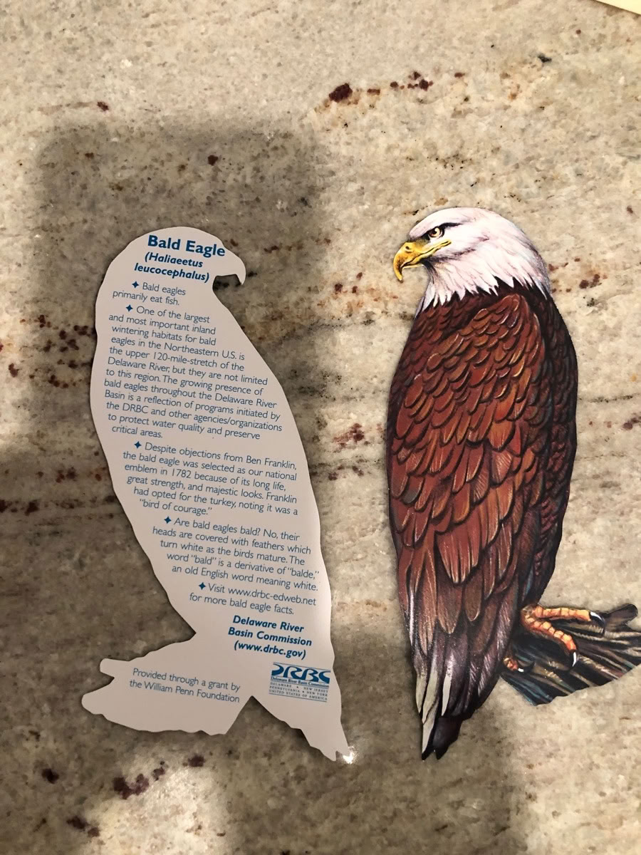 Free: Bald eagle and shad info cards (Ossining)