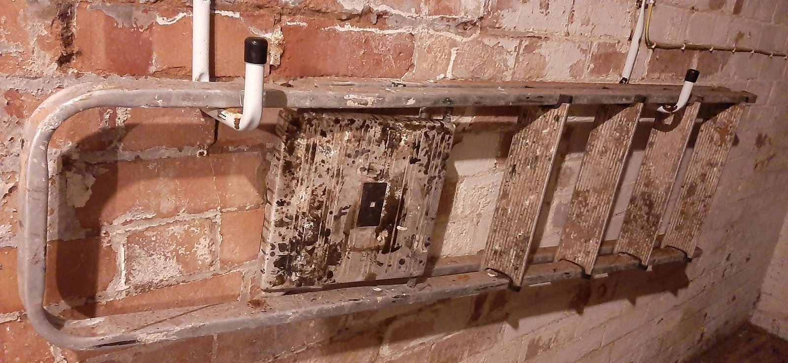 Free: Old metal step ladder (Mapperley Park NG3) - Nottingham Freegle