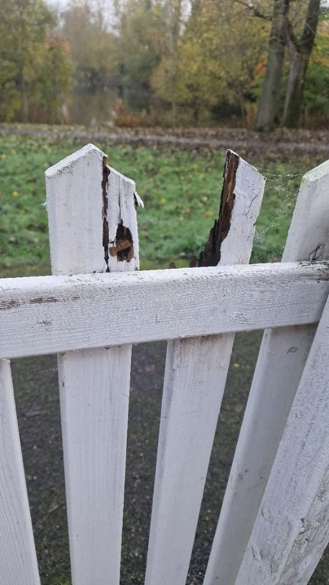 Request: Single picket fence picket (Kirk Hallam)