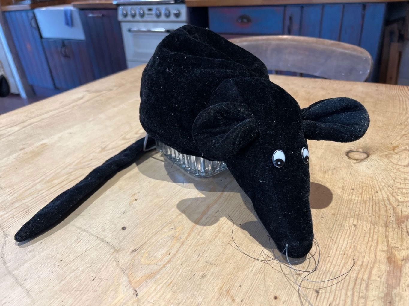 Free: Rat hat (Hastings TN35) - Hastings Freegle