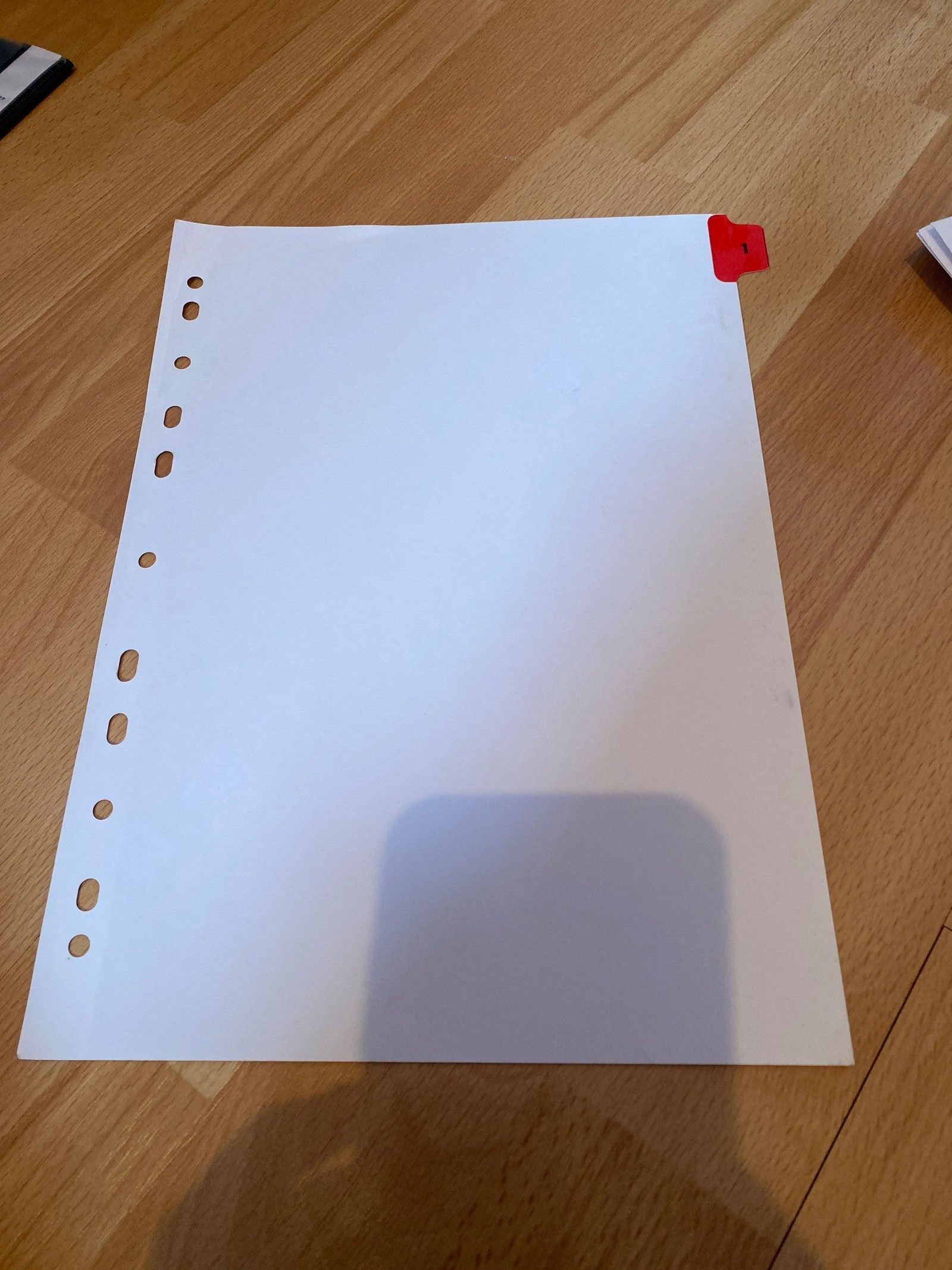 Free: Dividers for ring binder (Hove Green BN3) - Brighton Freegle