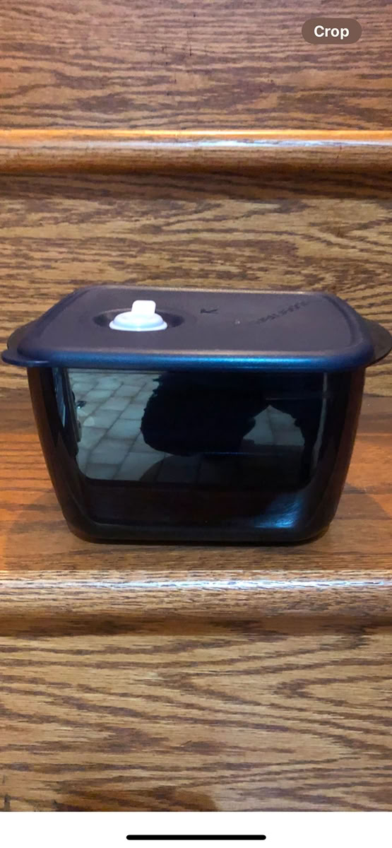 Request: Tupperware plug, lid or container (L5L 5P5)