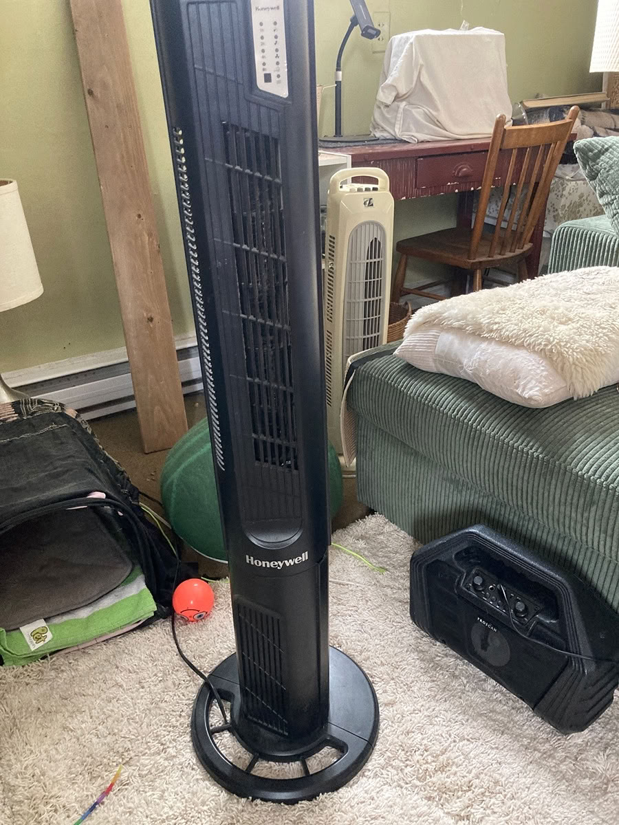 Free: Tall rotating fan (High Park-Parkdale)