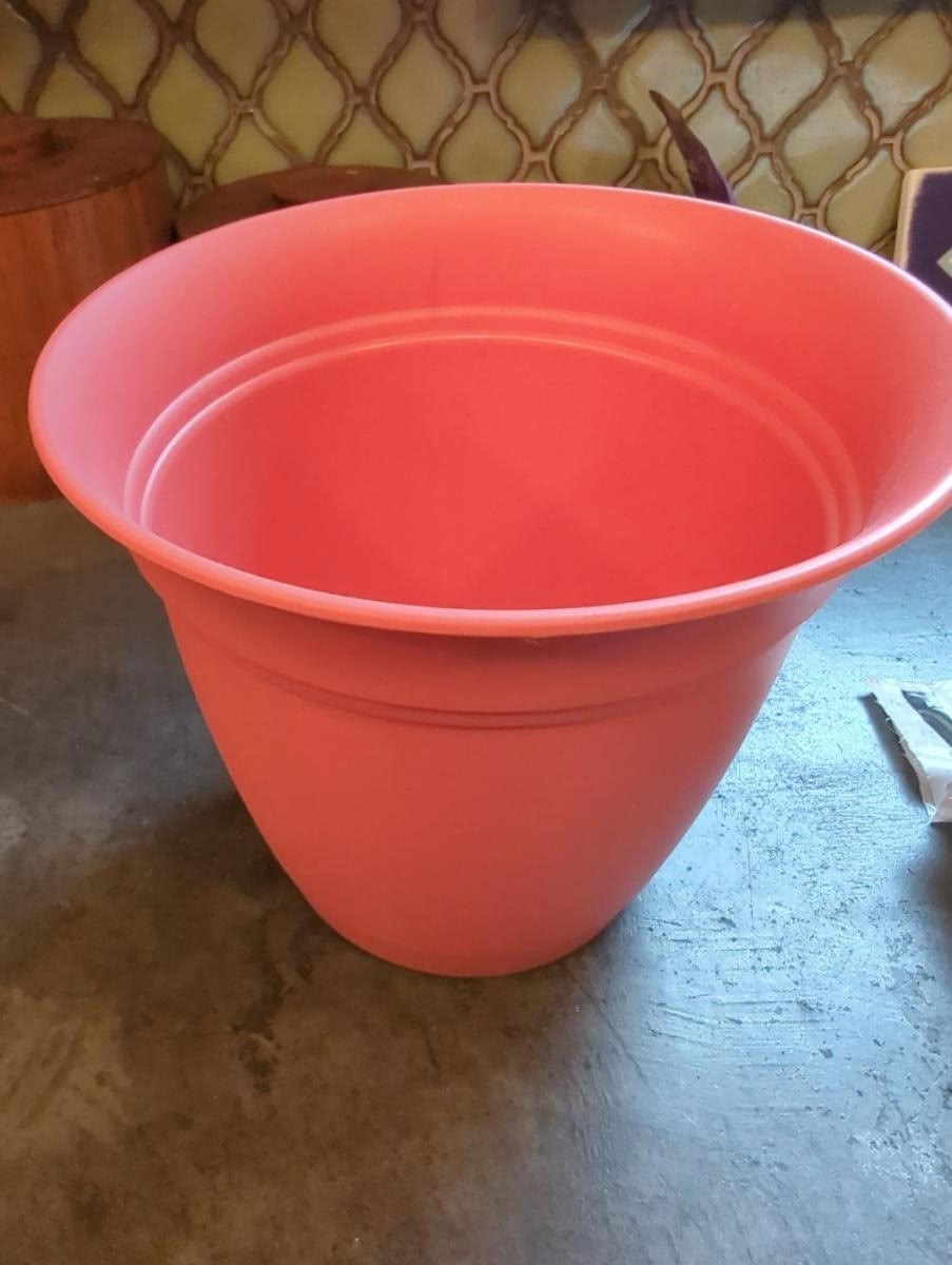 Free: Plastic flower pot (Seattle Bitter Lake)