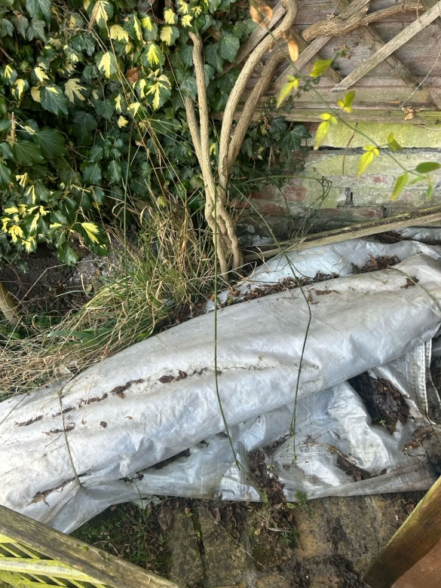 Free: Large plastic sheet (SE18)