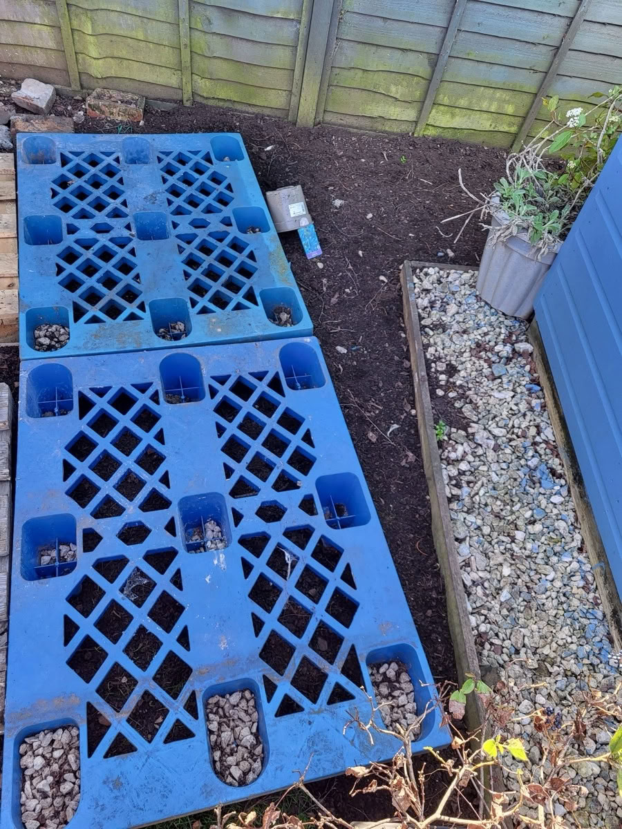 Free: 6 plastic pallets (Spondon Derby) - Derby Free