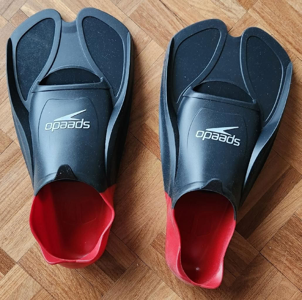 Free: Speedo Training Fins (Sun In The Sands Roundabout SE3) - Royal ...