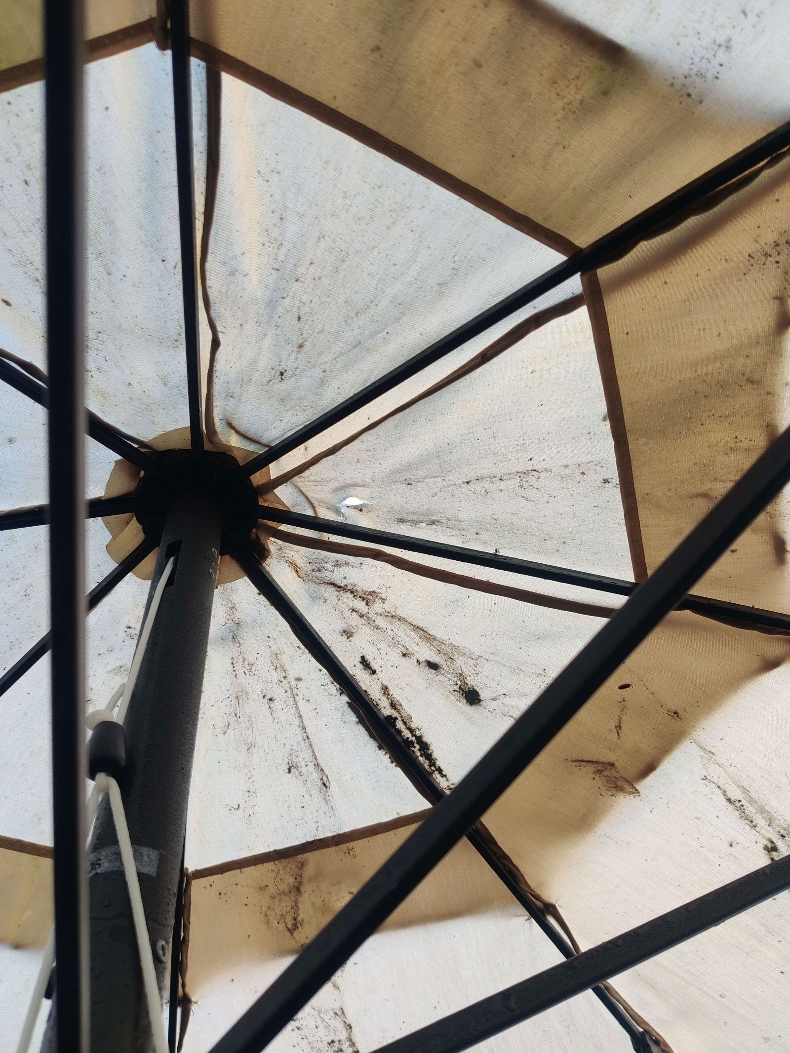 Free: Garden parasol - wind out mechanism (Corsham SN13) - Chippenham ...