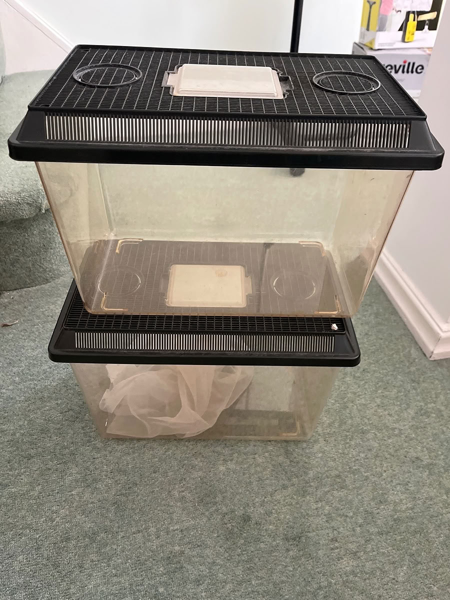 Free: 2 Insect tanks (Shefford) - Letchworth, Hitchin & Baldock Freegle
