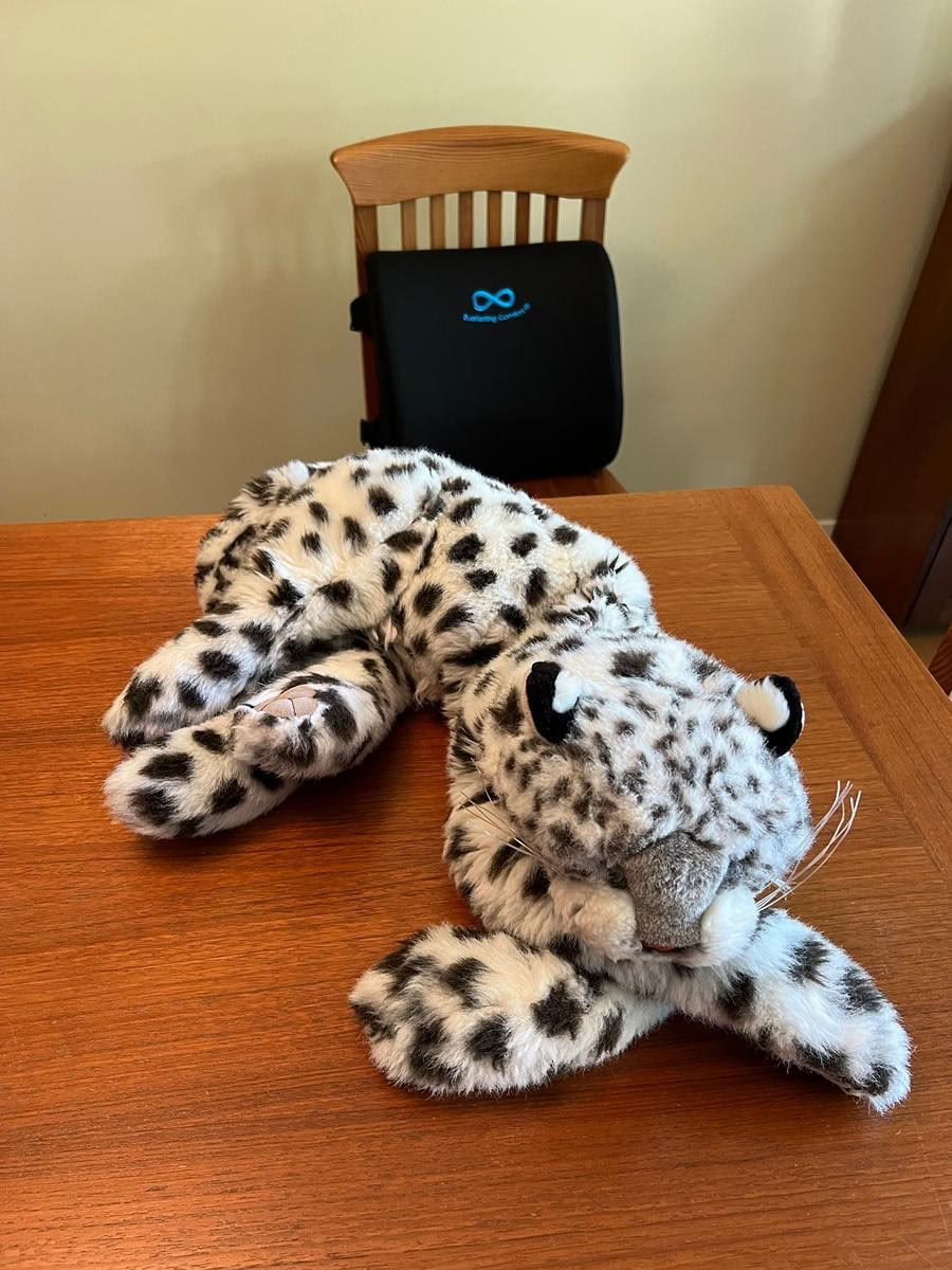 Free: Snow Leopard Puppet - Folkmanis (Midtown Palo Alto)