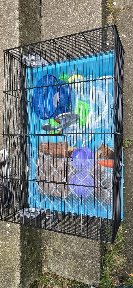 Free: Hamster cage (EH22 Woodburn drive) - Edinburgh Freegle