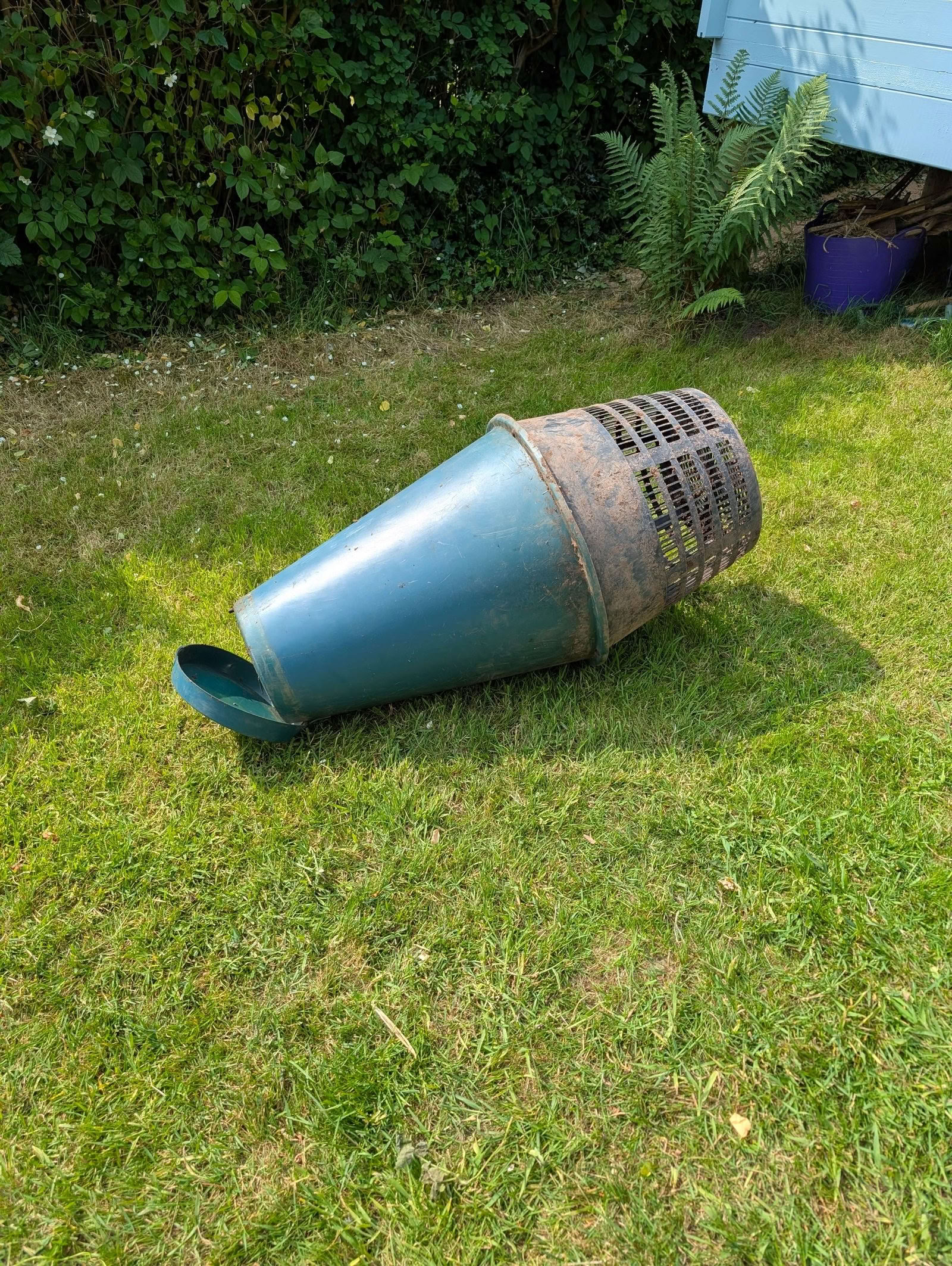 Free: Green Cone food waste composter (Emscote CV34) - Leamington Spa ...