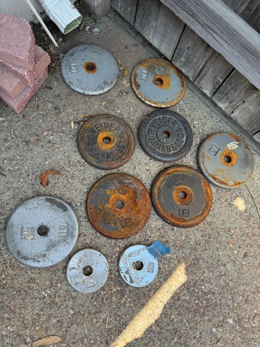 Free: 10 pound and 2.5 pound weights (San Jose California)