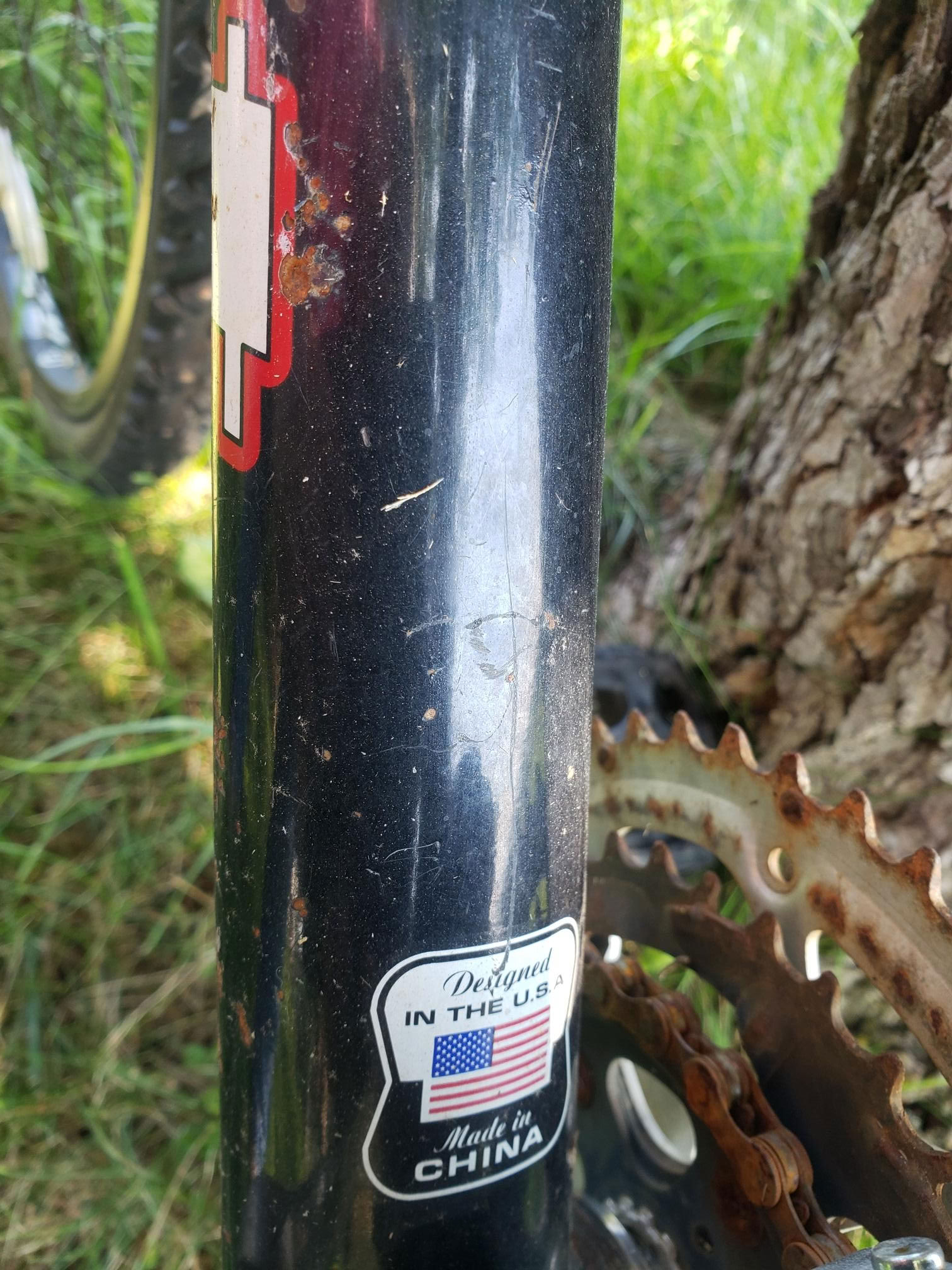 Free: Mens Boys Giant Upland Mt Bike (Front Royal)