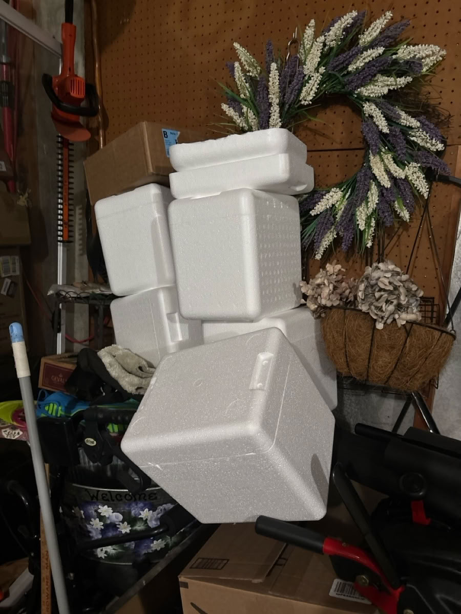 Free: Styrofoam containers (Dickinson Kings Contrivance)