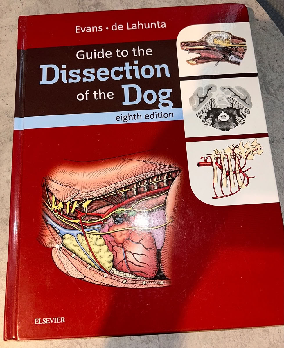Free: Guide to the dissection of the dog (edin)