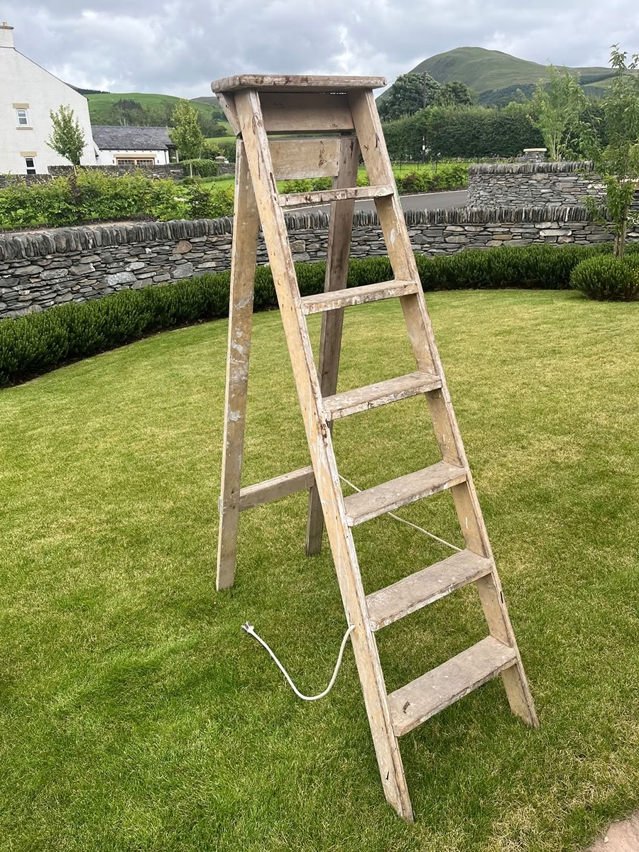 Free: Wooden ladder (Cockermouth) - Keswick & Cockermouth Freegle