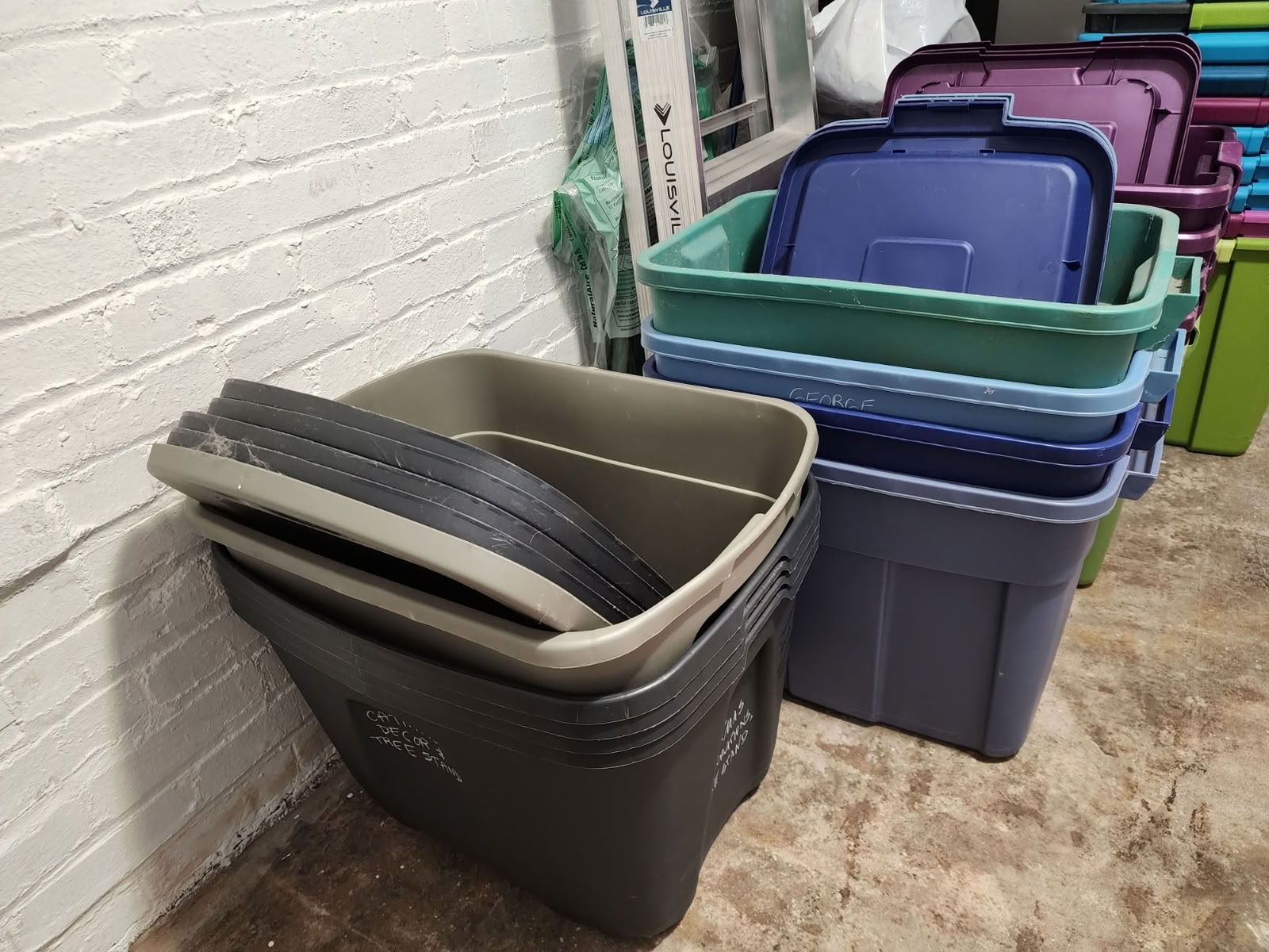 Free: Plastic storage bins (Hillcrest SE DC) - Washington, DC