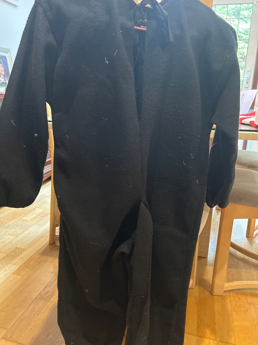 Free: Dr Zeus Cat in the Hat Costume (Potters Bar EN6) - Hatfield Freegle