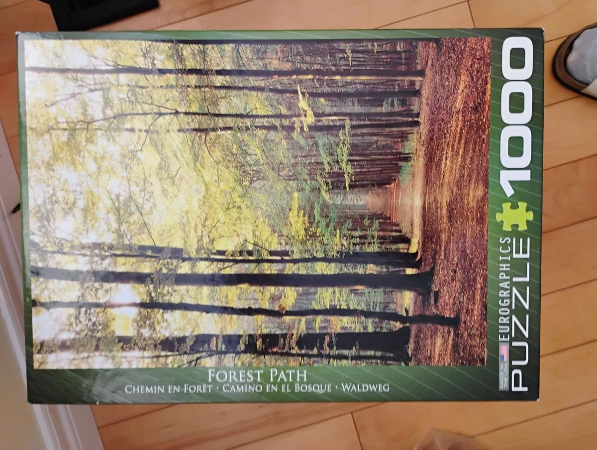 Free: Forest path puzzle, Westvale (Westvale, Waterloo)