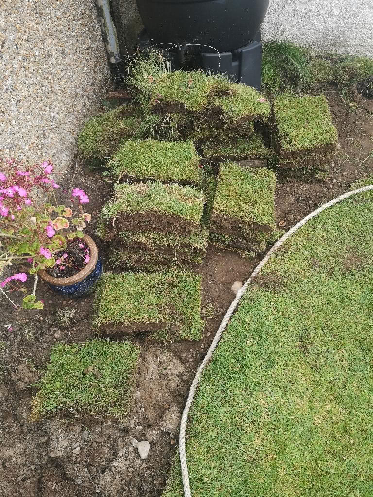 Free: Grass turf (Bridge of Allan FK9) - Stirling Freegle