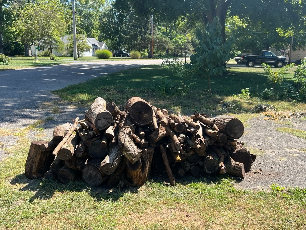 Free: Firewood (Shiloh, North Main St, Dayton)