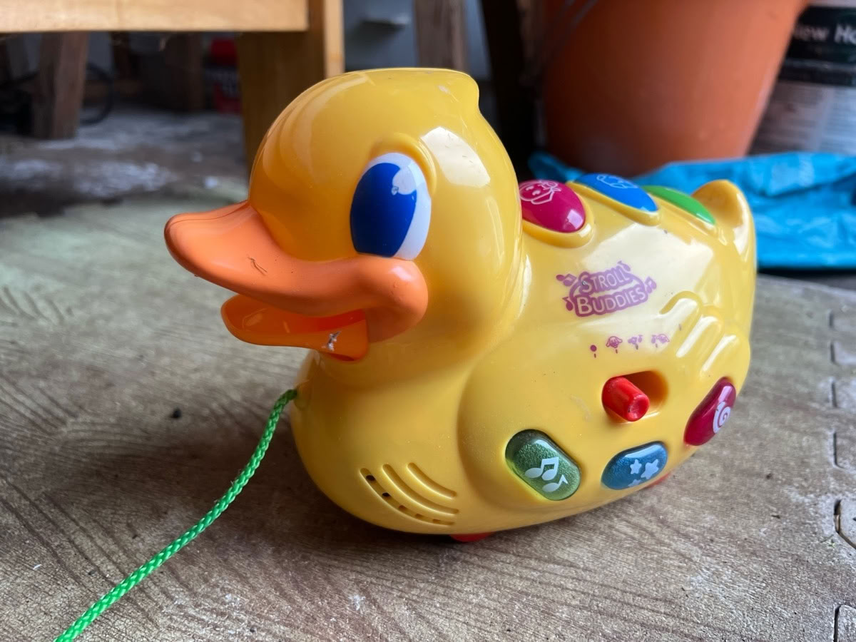 Free: Toddler ‘Stroll buddy’ duck (Kelvedon CO5)