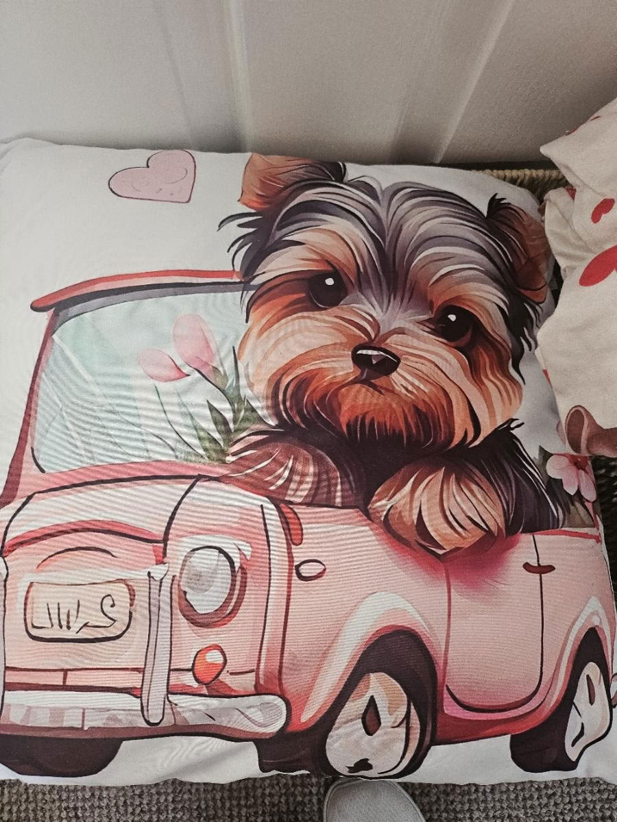 Free: Yorkie cushion (Ashton in Makerfield WN4) - Wigan Freegle
