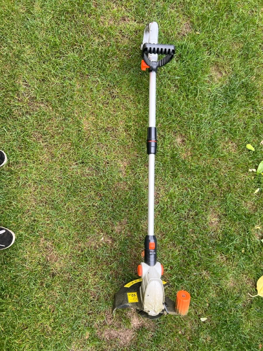 Free: Electric Strimmer - TLC guard (Sonning RG4)