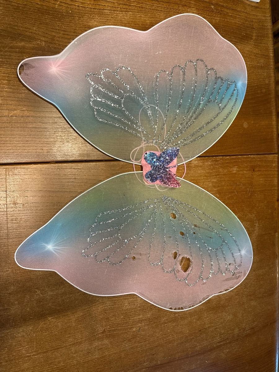 Free: Dress up fairy wings (EH4 Craigleith) - Edinburgh Freegle