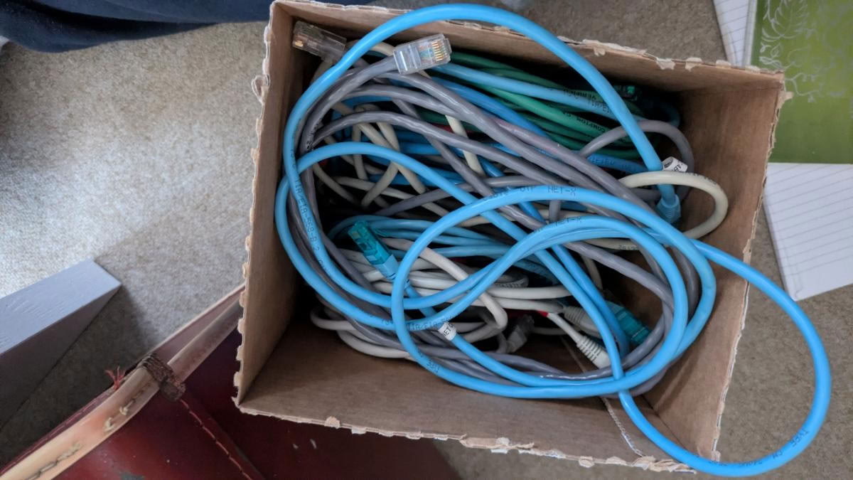 Free: Box of Cat5/Cat5e network cables (Leagrave LU4)