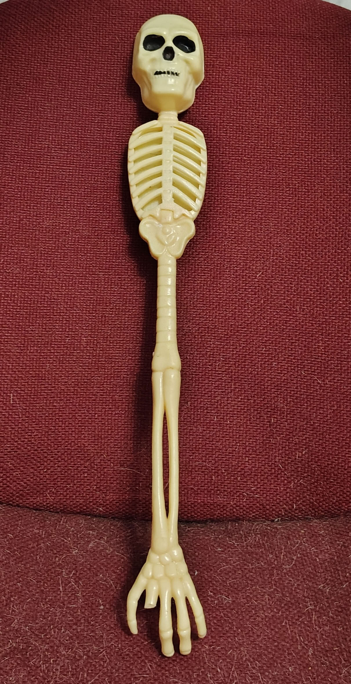 Free: Plastic skull and back scratcher (Fremont)