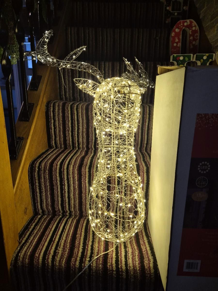 Free: Led stag head (Welling DA16) - Bexley Freegle