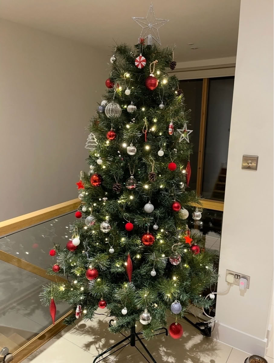 Free: Artificial Christmas Tree (Cardiff Bay CF11)