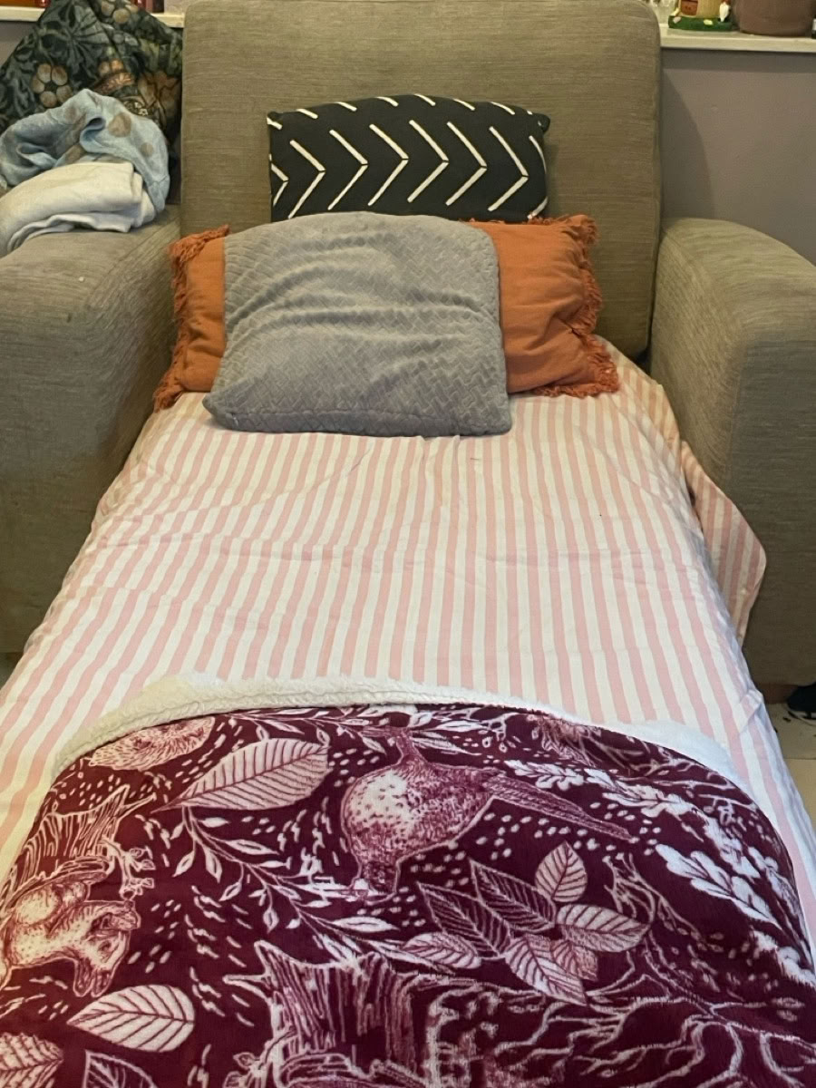 Free: Cuddle chair/ single sofa bed (Barton OX3)